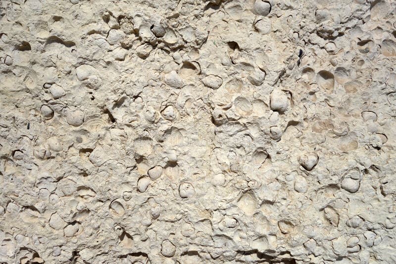 Shell rock stone close-up stock photo. Image of coquina - 163817818