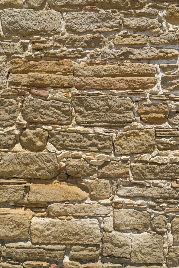 Shell Rock Stone Wall Texture or Background Stock Image - Image of ...