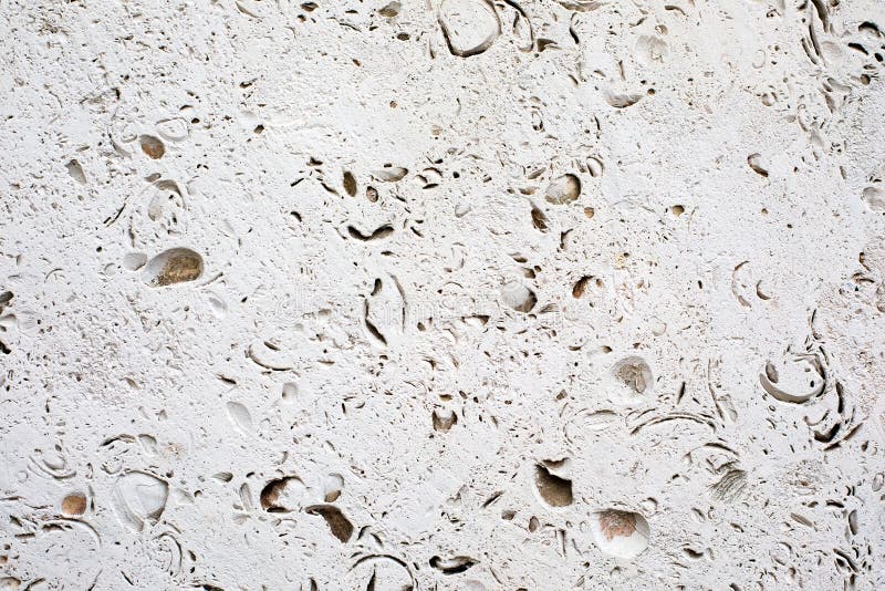 Shell Rock Limestone Texture Background. Natural Stone Background ...