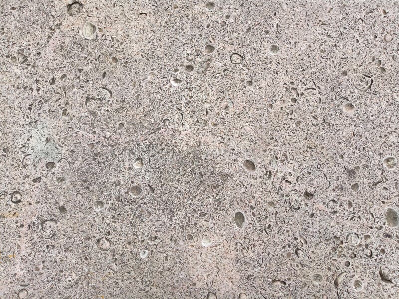 Shell rock texture stock image. Image of brick, design - 156825065