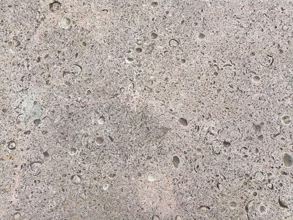 Shell rock texture stock image. Image of brick, design - 156825065