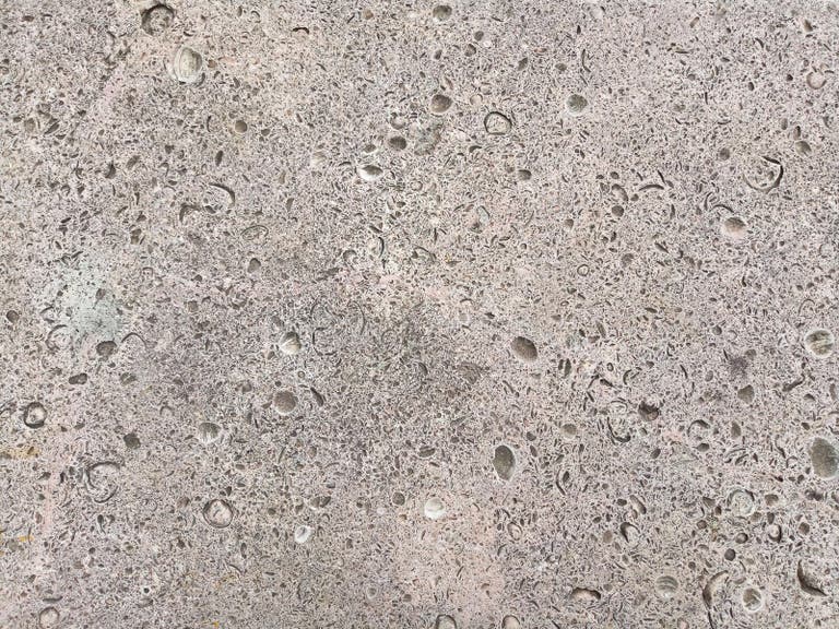 Shell rock texture stock image. Image of brick, design - 156825065