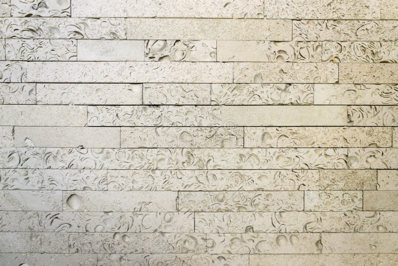 Shell rock wall stock photo. Image of rock, shell, solid - 118361772