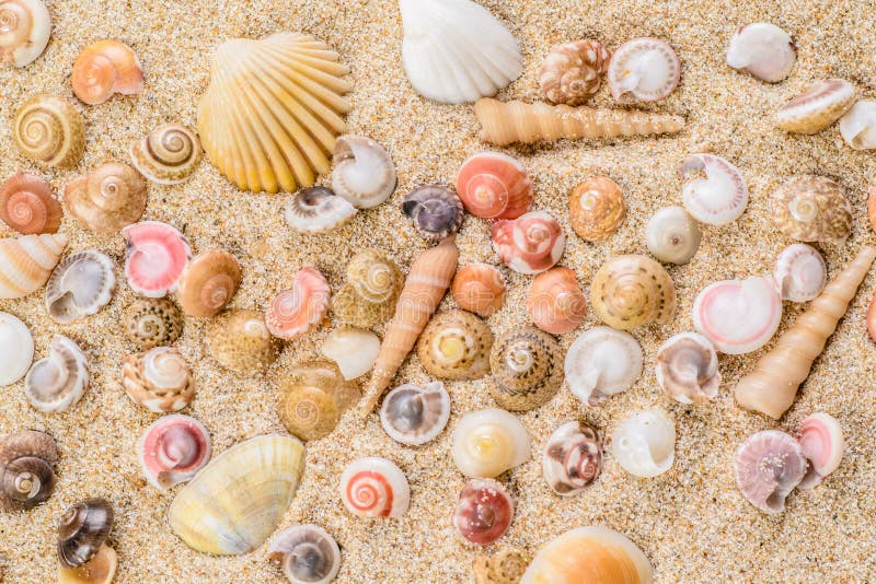 Sand texture stock image. Image of beige, background - 54104319