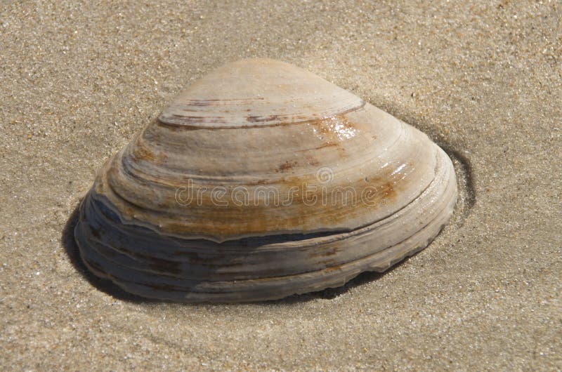 Indiand River Stock Photos - Free & Royalty-Free Stock Photos from ...