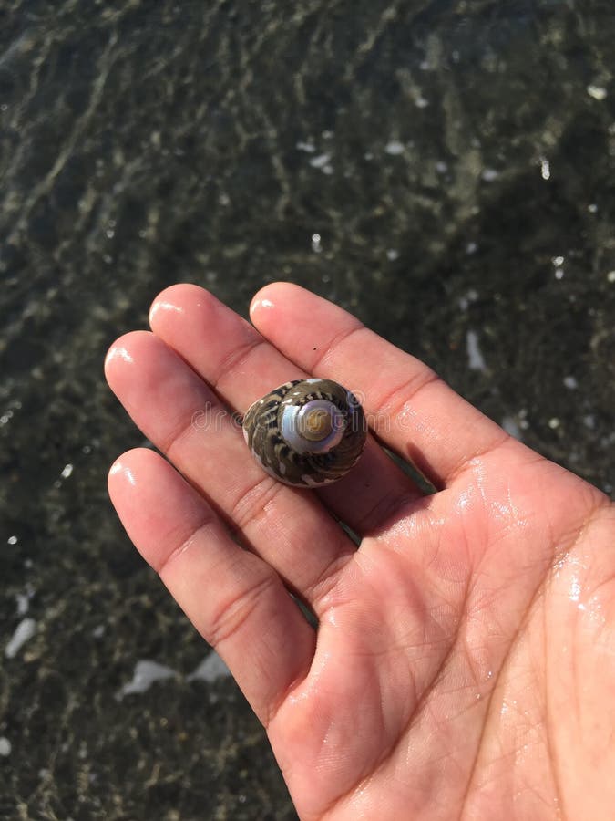 Shoes on the Beach stock photo. Image of pair, shoes - 27008116