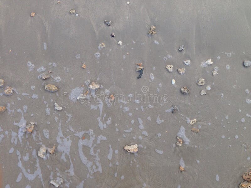 Shell with Sand Texture on the Beach Wallpaper Stock Image - Image of ...