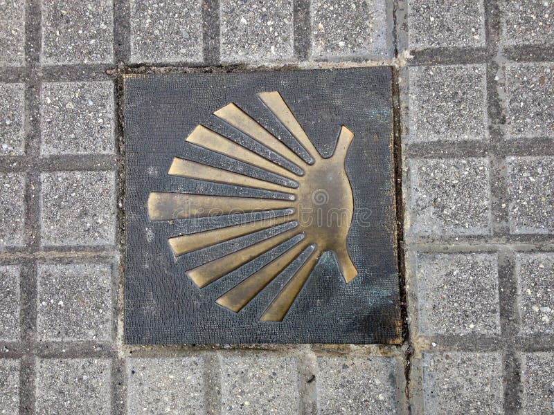 Shell Scallop Symbol of the Way of St. James Stock Image - Image of ...