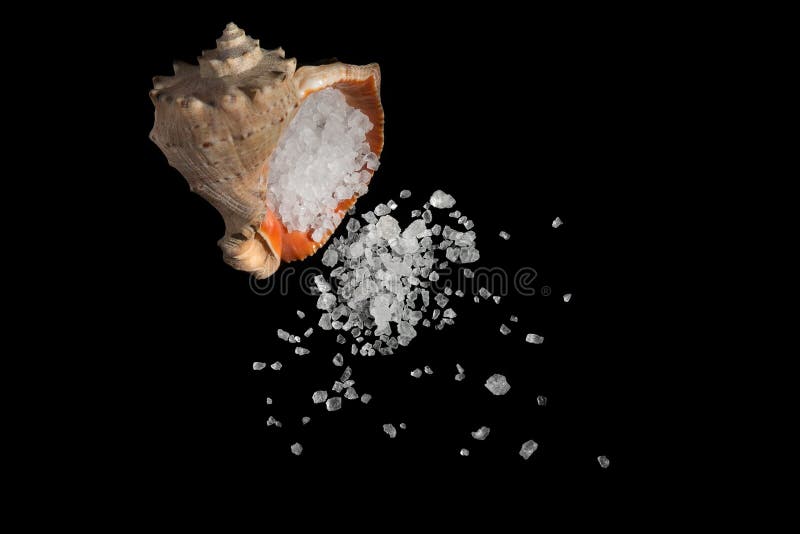 Shell and sea salt stock image. Image of making, field - 95026003