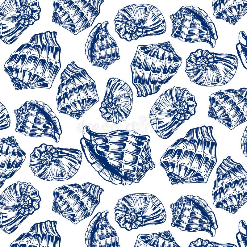Shell. Seamless Pattern. Hand Drawn Seashells. Engraving on a Marine ...