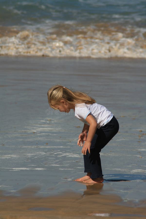 Shell seeking stock image. Image of tropical, cloud, relaxation - 5202649