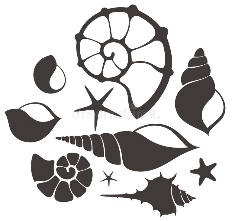 Shell Stock Illustrations – 394,840 Shell Stock Illustrations, Vectors ...