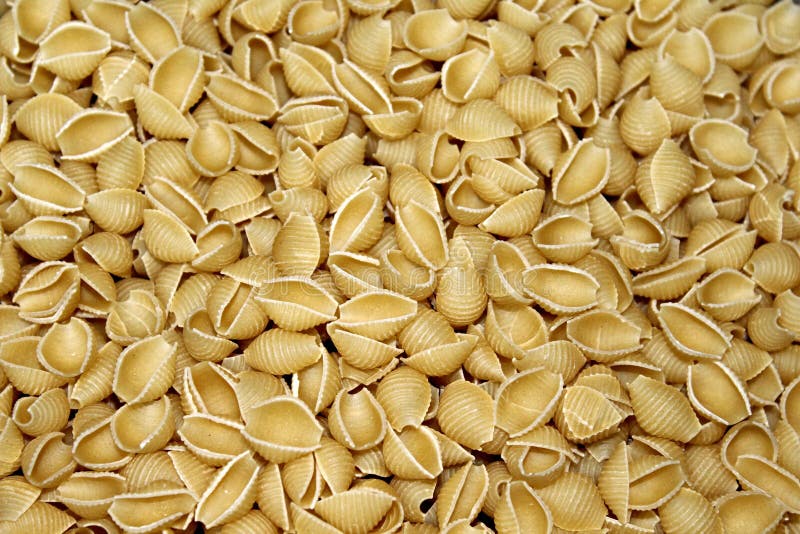 Shell Shaped Pasta Abstract BAckground Stock Photo - Image of small ...