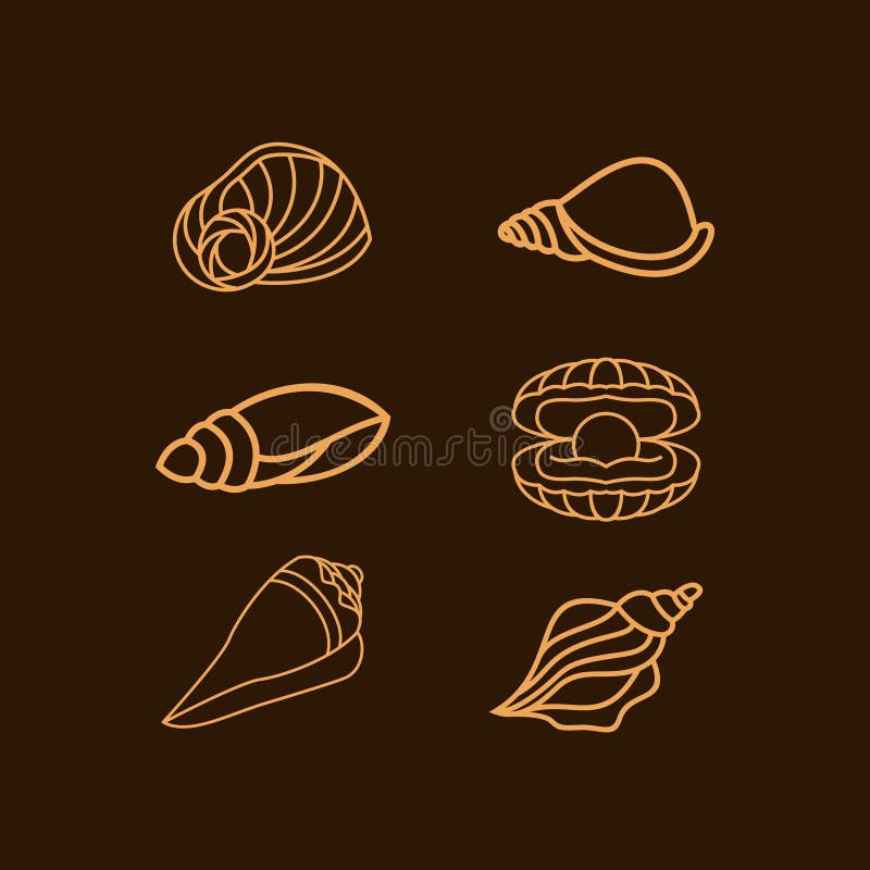Shell stock vector. Illustration of shelly, composition - 216181123
