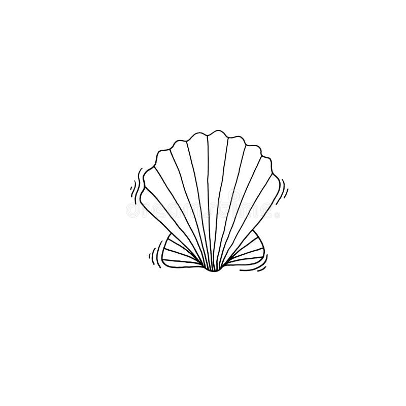 Sea shell sketch stock illustration. Illustration of drawing - 44318008
