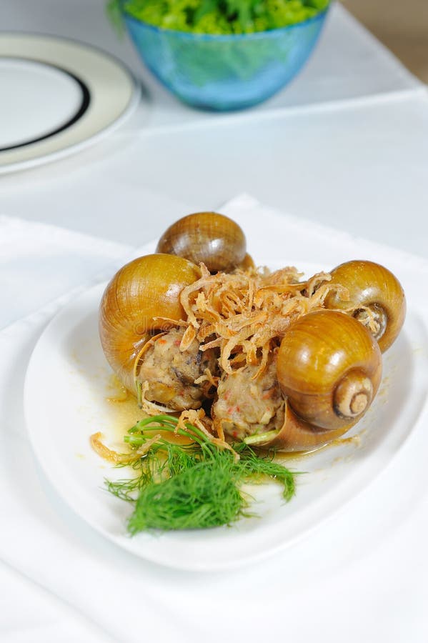 Shell stock photo. Image of appetizer, dinner, detail - 31802518