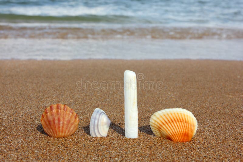 Shell Standing on a Tropical Sandy Beach Stock Photo - Image of ...
