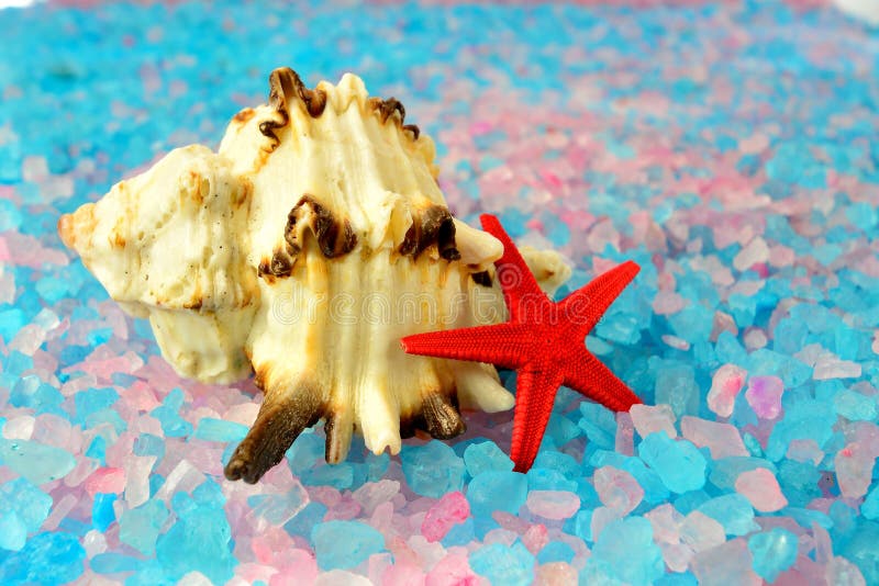 Shell and star on sea salt stock image. Image of beautiful - 50959365