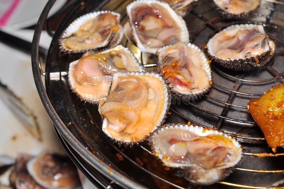 Shell steaks stock photo. Image of nature, frying, marine - 55583094