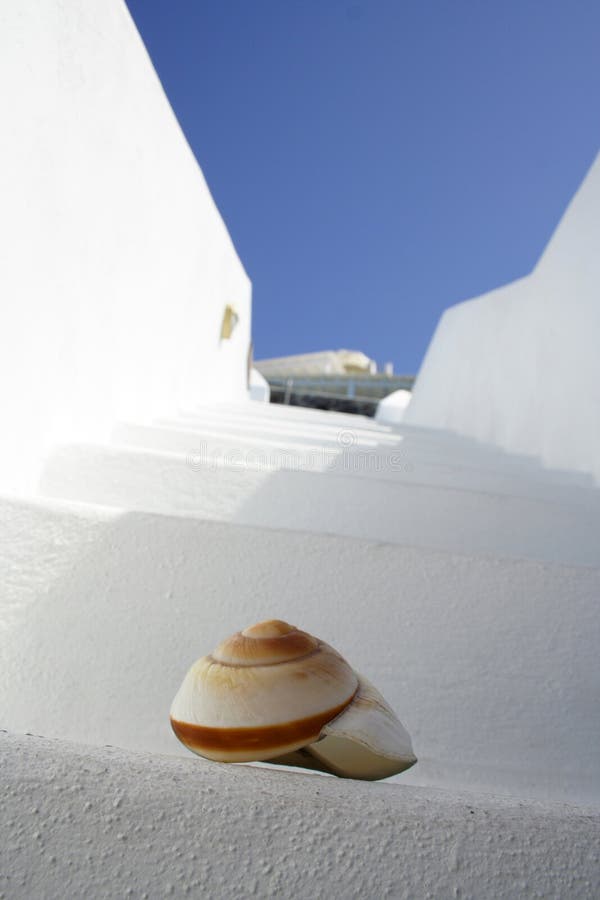 Shell on the steps stock image. Image of step, stairs - 2206411