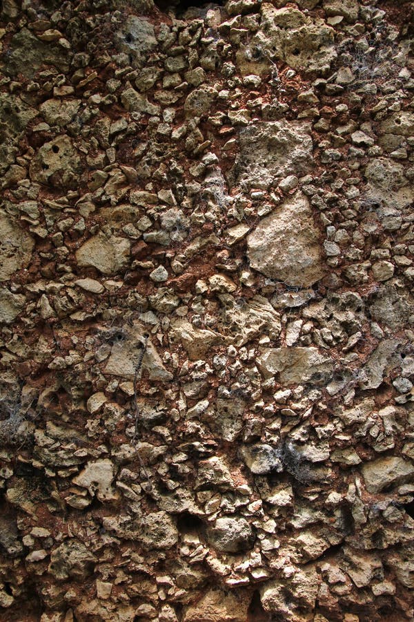 Shell Stone Texture. Background Shell Rock Stock Photo - Image of ...