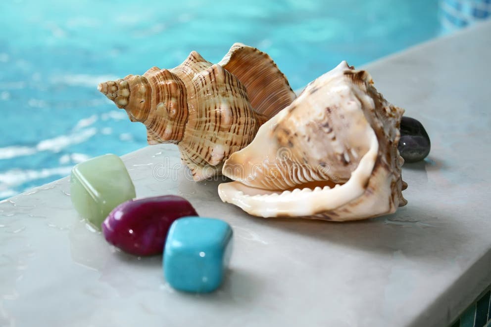 Shell and stones stock photo. Image of relax, liquid - 16043360