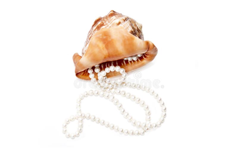Shell and a String of Pearls Stock Image - Image of jewelry, pile: 28706473