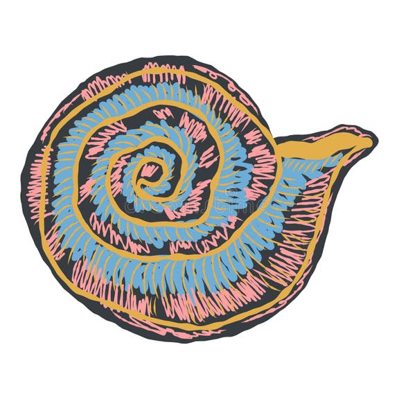 Shell in Stylized Technique. Marine World, Shell Texture, Pencil Marker ...