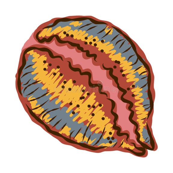 Shell in Stylized Technique. Marine World, Shell Texture, Pencil Marker ...