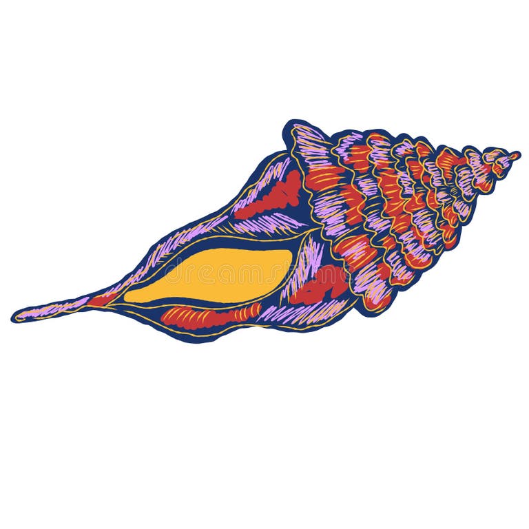 Shell in Stylized Technique. Marine World, Shell Texture, Pencil Marker ...