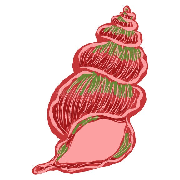 Shell in Stylized Technique. Marine World, Shell Texture, Pencil Marker ...