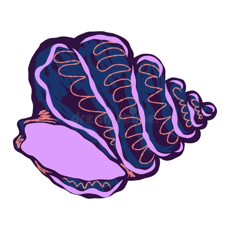 Shell in Stylized Technique. Marine World, Shell Texture, Pencil Marker ...