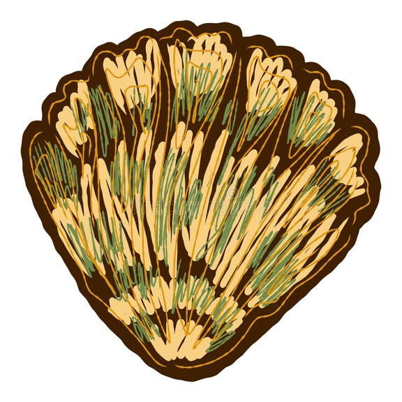 Shell in Stylized Technique. Marine World, Shell Texture, Pencil Marker ...