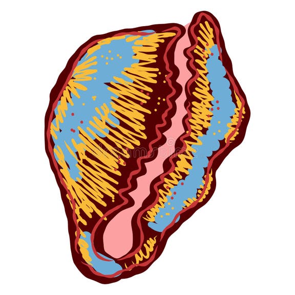 Shell in Stylized Technique. Marine World, Shell Texture, Pencil Marker ...