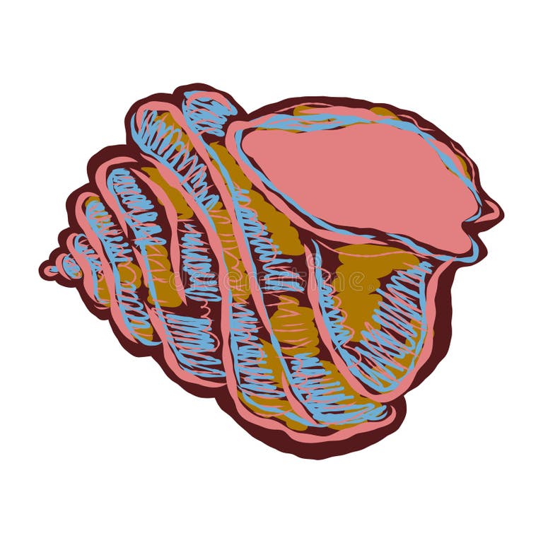 Shell in Stylized Technique. Marine World, Shell Texture, Pencil Marker ...