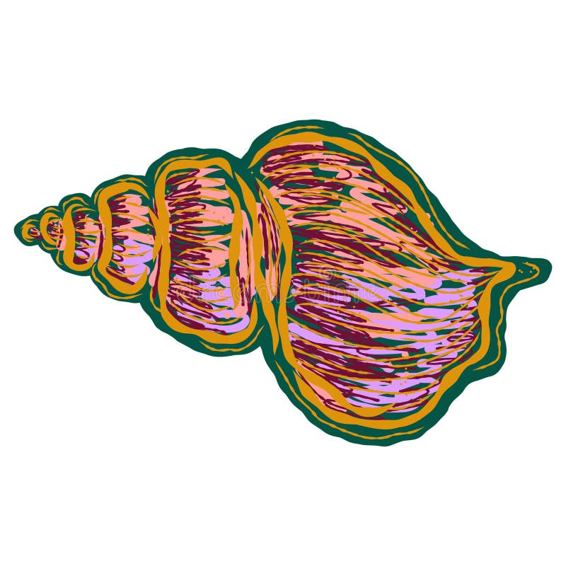 Shell in Stylized Technique. Marine World, Shell Texture, Pencil Marker ...