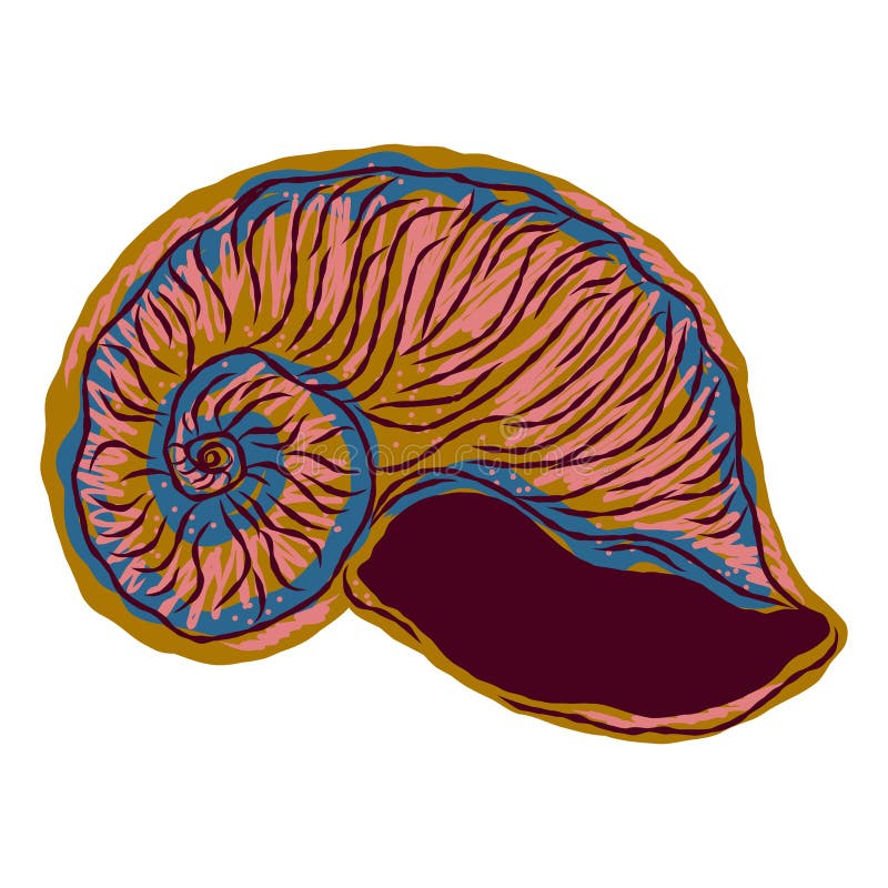 Shell in Stylized Technique. Marine World, Shell Texture, Pencil Marker ...