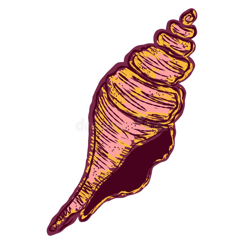 Shell in Stylized Technique. Marine World, Shell Texture, Pencil Marker ...