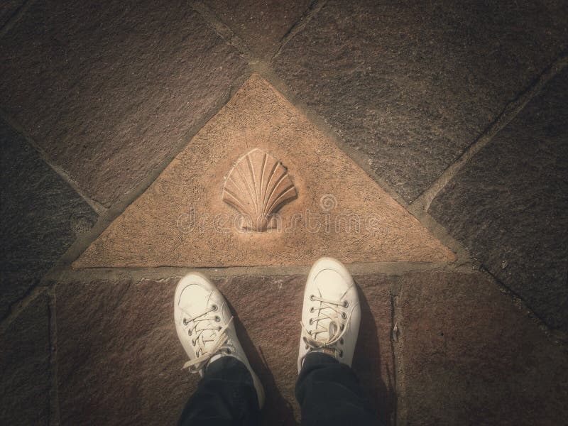 Shell symbol stock image. Image of shoes, signage, white - 88521361