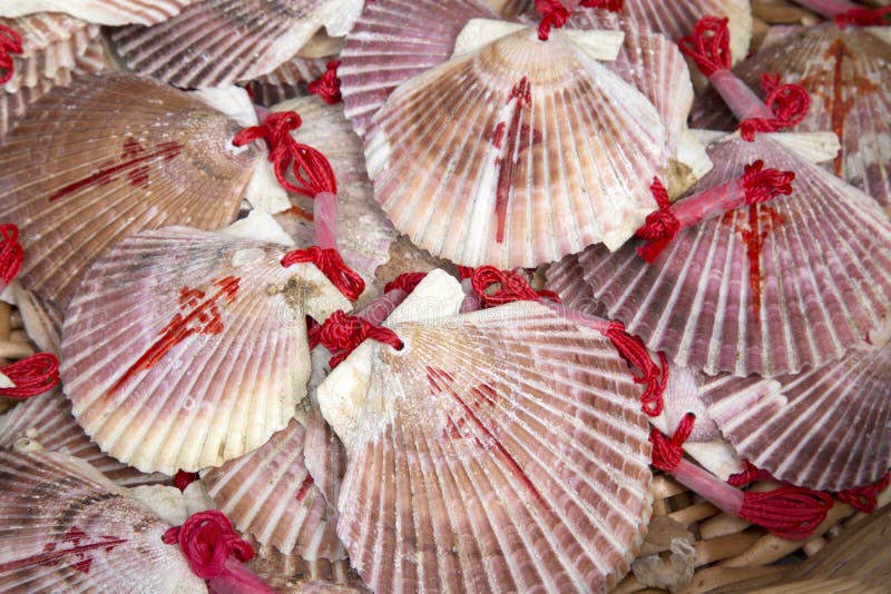 Shell Symbol Van Camino DE Santiago Galicia; Spanje Stock Foto - Image ...