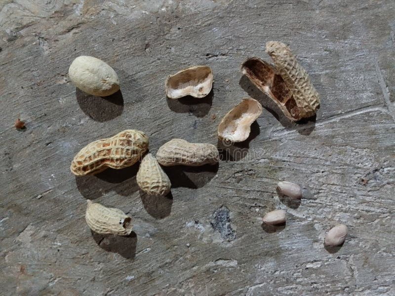 From Shell To Snack: the Natural Beauty of Peanuts Up Close Stock Image ...