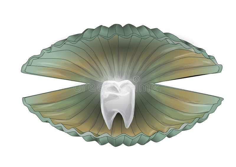 Shell with tooth stock vector. Illustration of symbol - 86465340