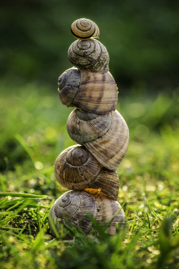 Shell Tower stock photo. Image of green, magic, relaxing - 92993768