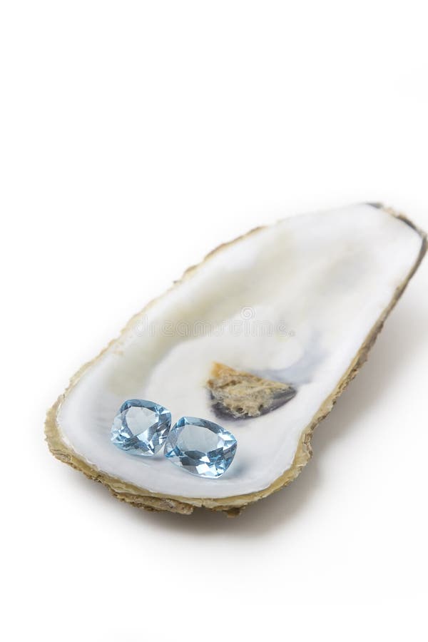 Treasure on a shell stock photo. Image of pearl, expensive - 18128202