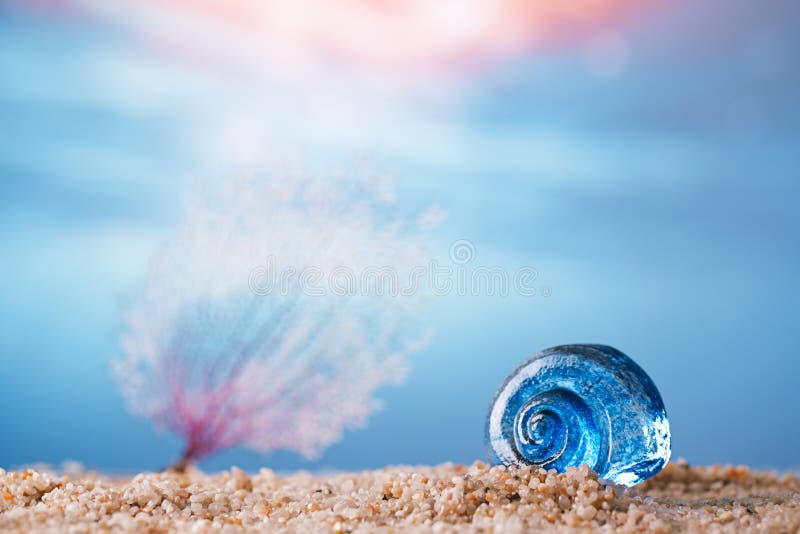 Shell Tropical Do Mar Da Concha Do Mar Na Areia Com Oceano Imagem de ...