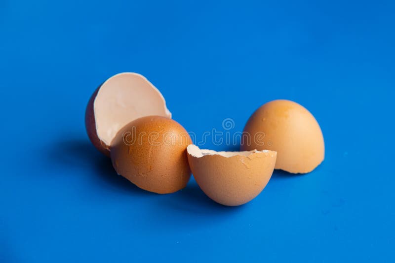 The Shell from Two Red Chicken Eggs Broken on a Blue Background Stock ...