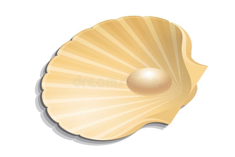 Pastel Seashells Clip Art stock illustration. Illustration of patterned ...