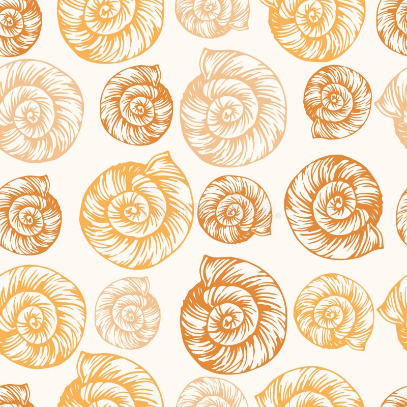 Shell Circle Stock Illustrations – 10,372 Shell Circle Stock ...