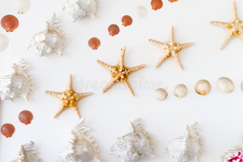 Shell wall stock image. Image of paint, color, close - 17802913