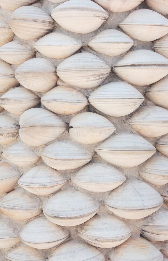 Sea Shell On The Brick. Background, Wallpaper. Stock Image - Image of ...
